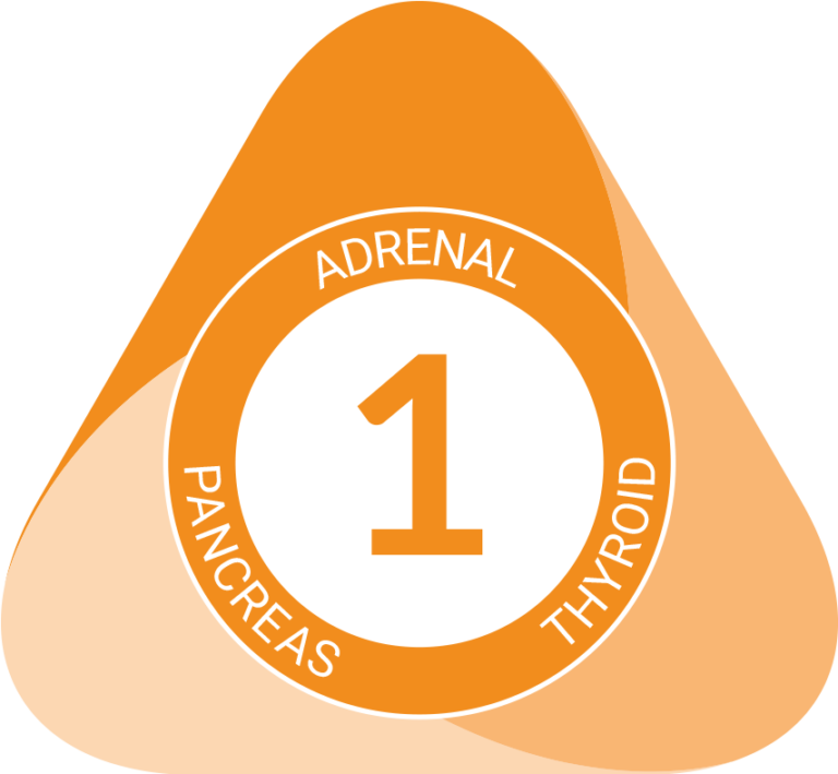 Your personal health program, Unlock Your Healthiest You™ | Metabolic Code