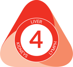 Your personal health program, Unlock Your Healthiest You™ | Metabolic Code