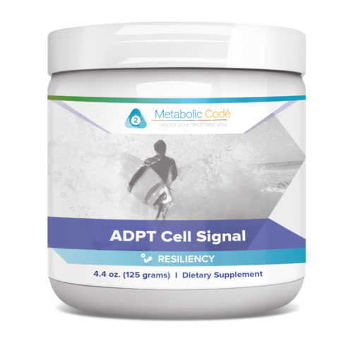 Contact Us | Metabolic Code