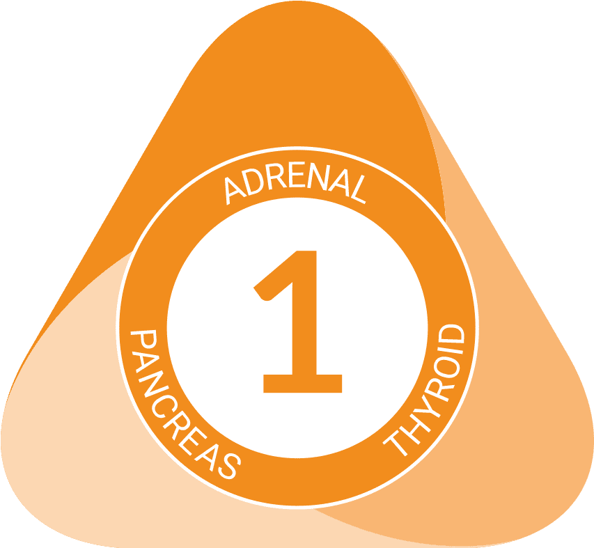 Your personal health program, Unlock Your Healthiest You™ | Metabolic Code