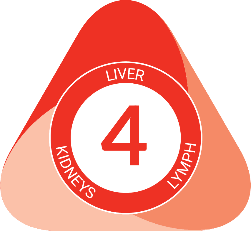 Your personal health program, Unlock Your Healthiest You™ | Metabolic Code